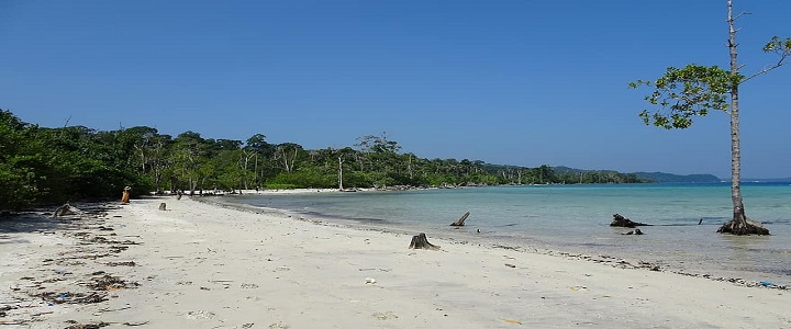 Elephanta Beach in Havelock, Andaman and Nicobar Islands | Travel in ...